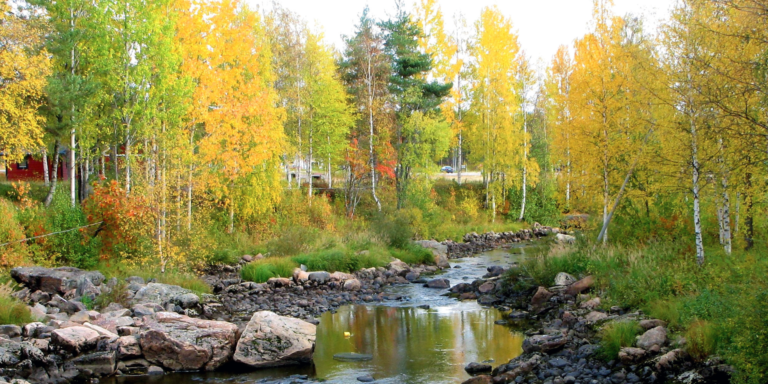 Traveling to Sweden – the Ultimate Guide – Explore Nordic